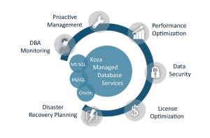 Managed Database | Koza Technology